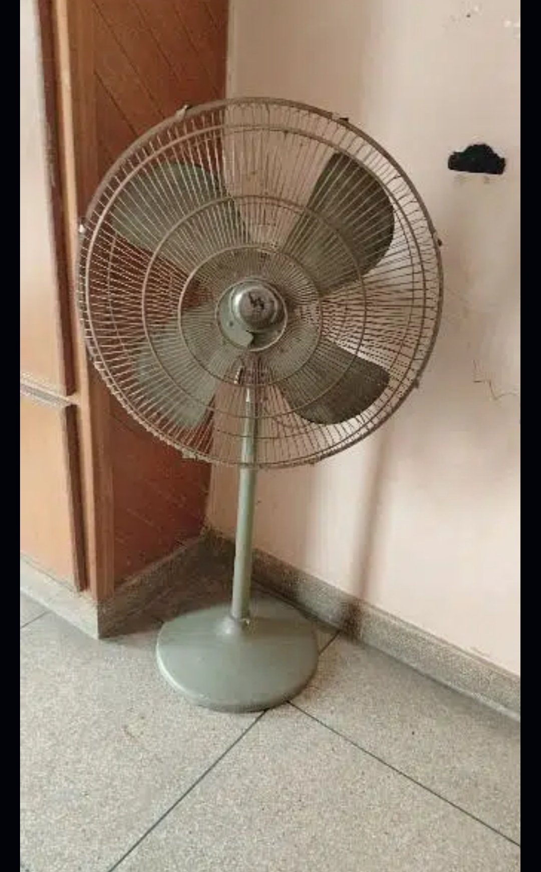 Pak fan pedestal fan - pakelectro